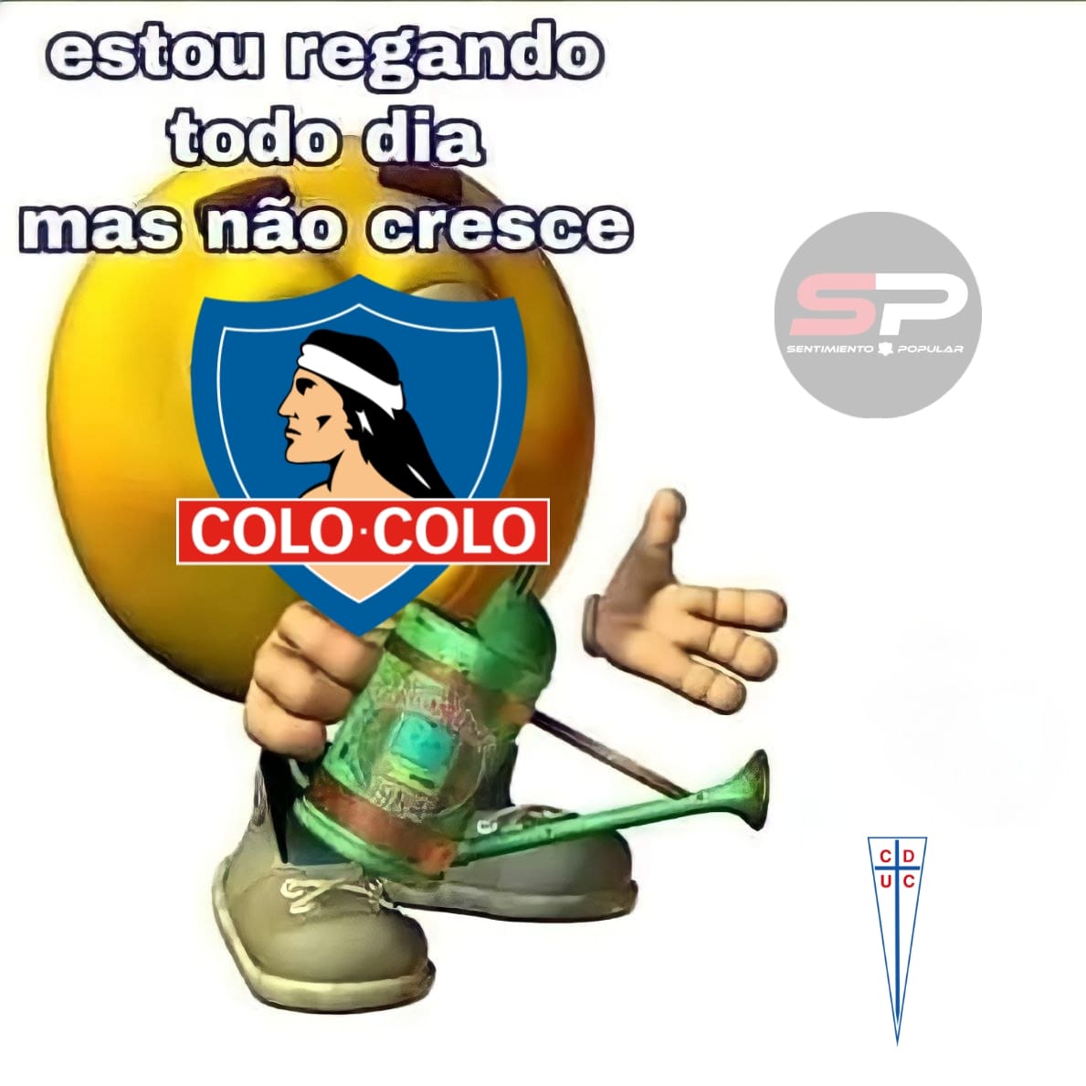 Para reir sin parar: Los mejores memes que dejó el triunfo de Colo-Colo ...